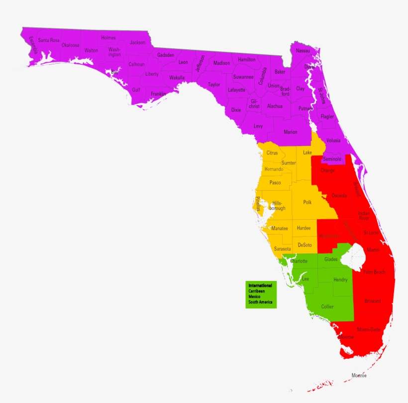 Florida - Florida Map Silhouette PNG Image | Transparent PNG Free ...