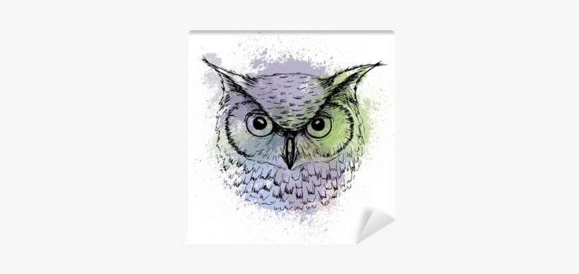 Vector Sketch Of Owl Head On A Background Of Colored - Owl Head Sketch ...