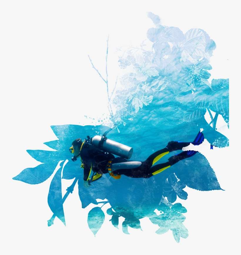 Img - Scuba Diving PNG Image | Transparent PNG Free Download on SeekPNG
