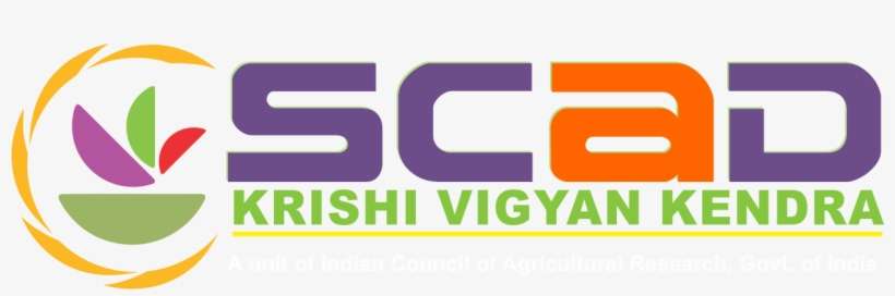 For Help - Scad World School Palladam PNG Image | Transparent PNG Free ...