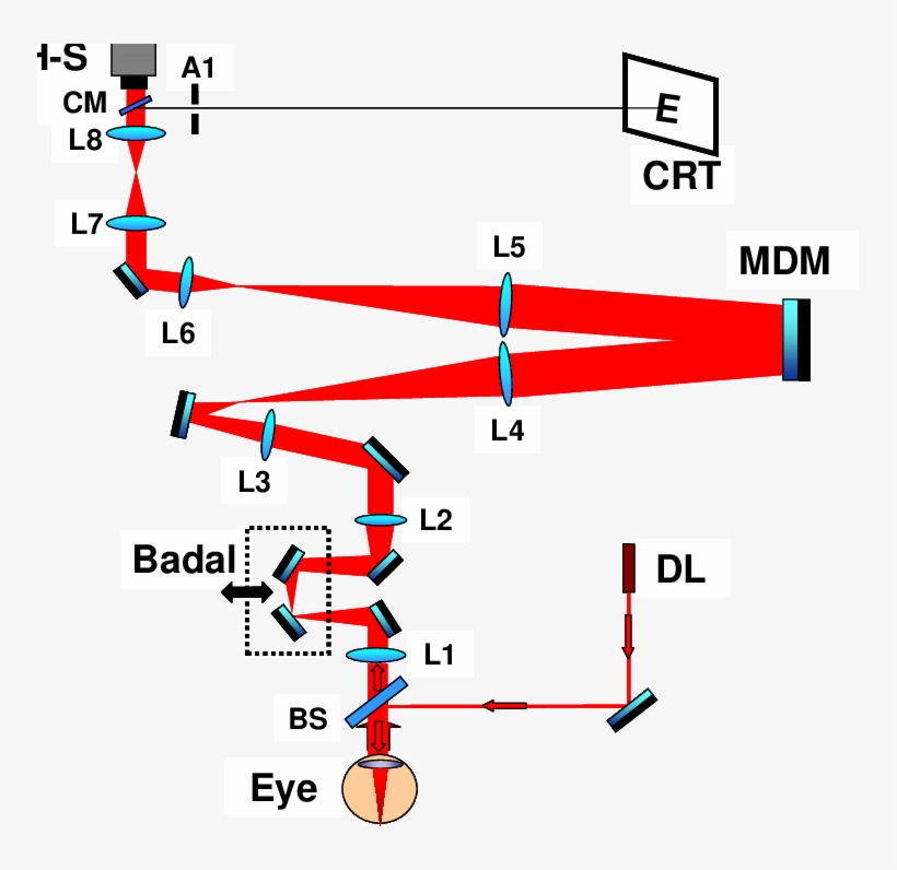 Schematic Diagram Of The Adaptive Optics System - Adaptive Optics Eye ...