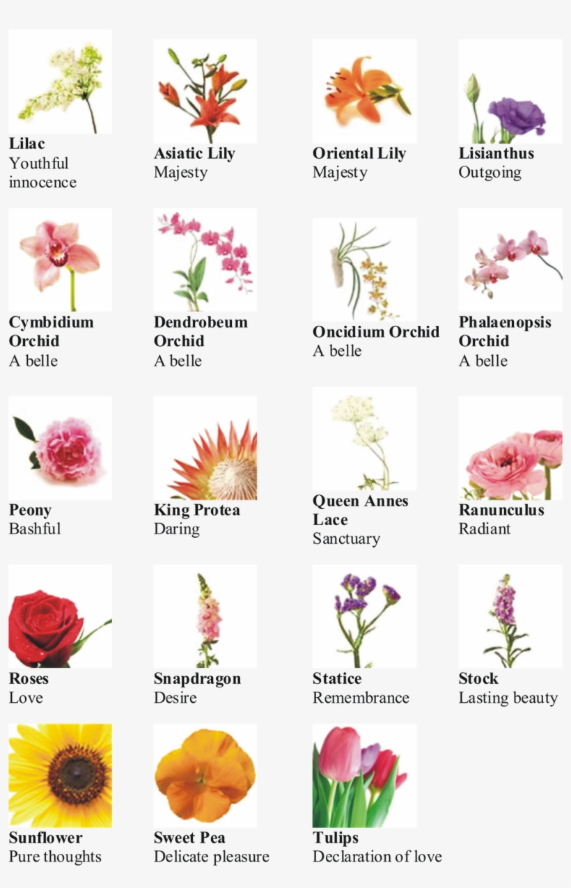 Language Of Flower Different Types Flowers Embroidery Flower Types PNG Image Transparent PNG 