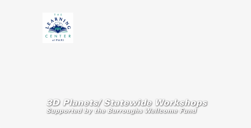 Pari Pari PNG Image | Transparent PNG Free Download on SeekPNG