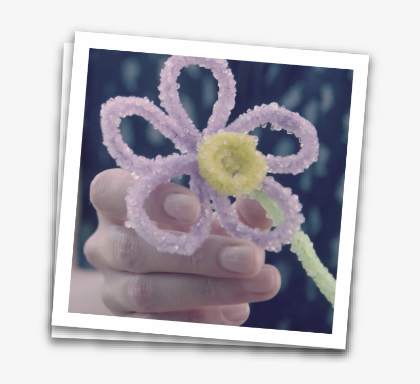 How To Make Crystal Formations With Borax - 20 Mule Team Borax PNG ...