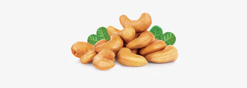 Cashew Nuts - Cashew Nuts Transparent Background PNG Image ...