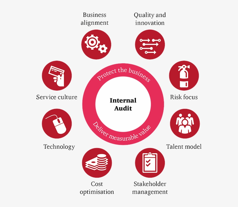 Download The Eight Attributes Of Effective Internal Audit Functions ...