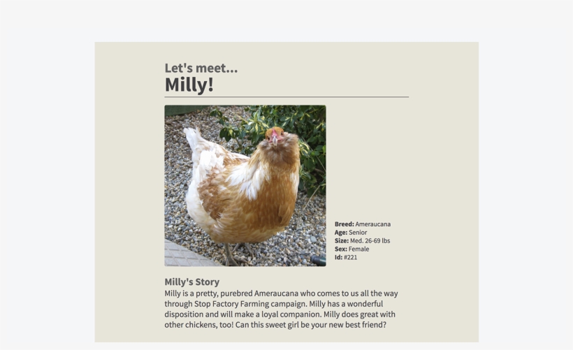 Process - Chicken PNG Image | Transparent PNG Free Download on SeekPNG