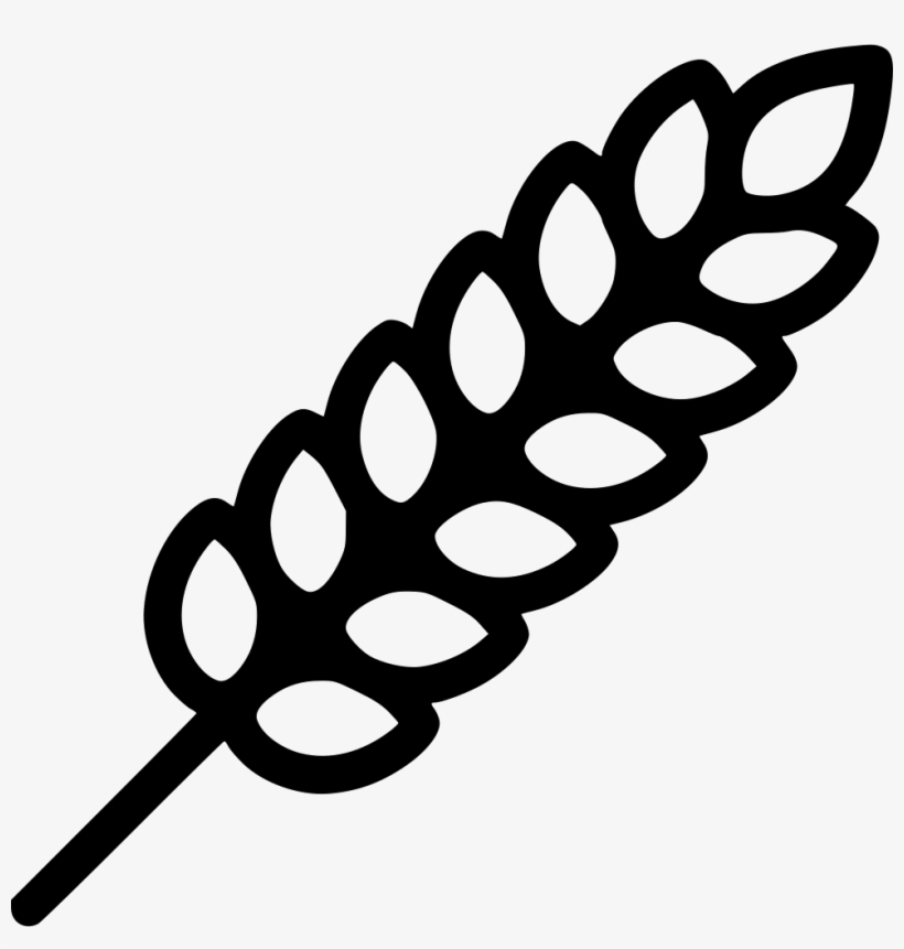 Png File - Wheat Icon PNG Image | Transparent PNG Free Download on SeekPNG