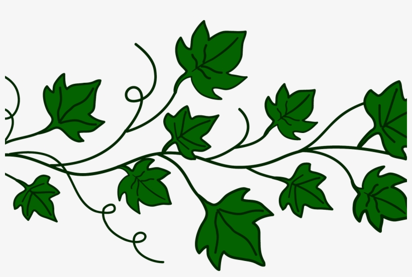 Cartoon Pumpkin Vines