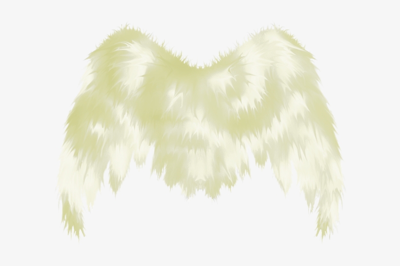 Psp Tubes, Frames & Tagbacks - Portable Network Graphics PNG Image ...