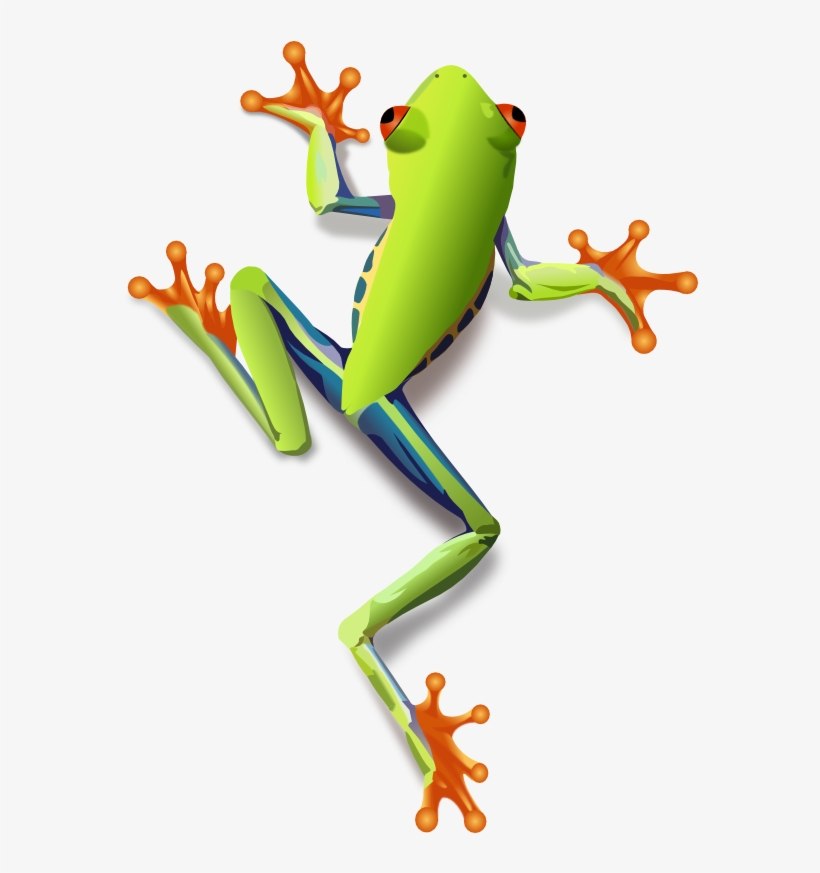 Tree Frog Clipart - Tree Frog Png PNG Image | Transparent PNG Free ...