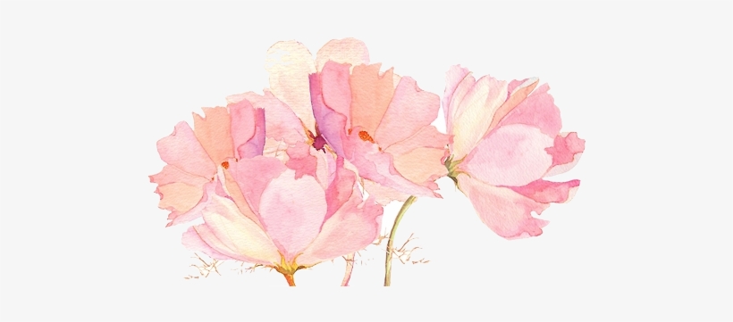 Download - Pink Watercolor Flower Png | Transparent PNG Download | SeekPNG