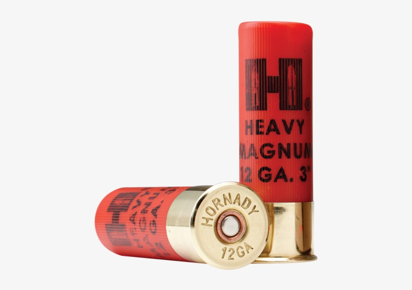 Shotgun Ammo PNG Image | Transparent PNG Free Download on SeekPNG