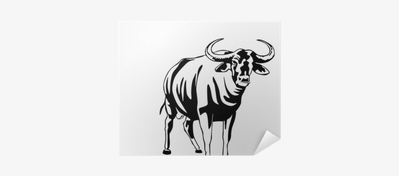 Black And White Indian Bull Vector Illustration Poster - Vector ...