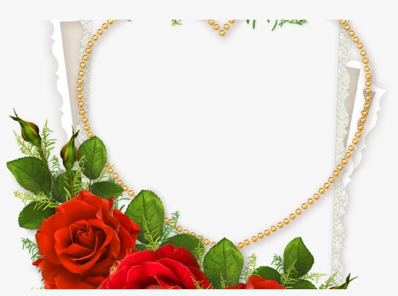 Red Rose Flower Photo Frames | Best Flower Site