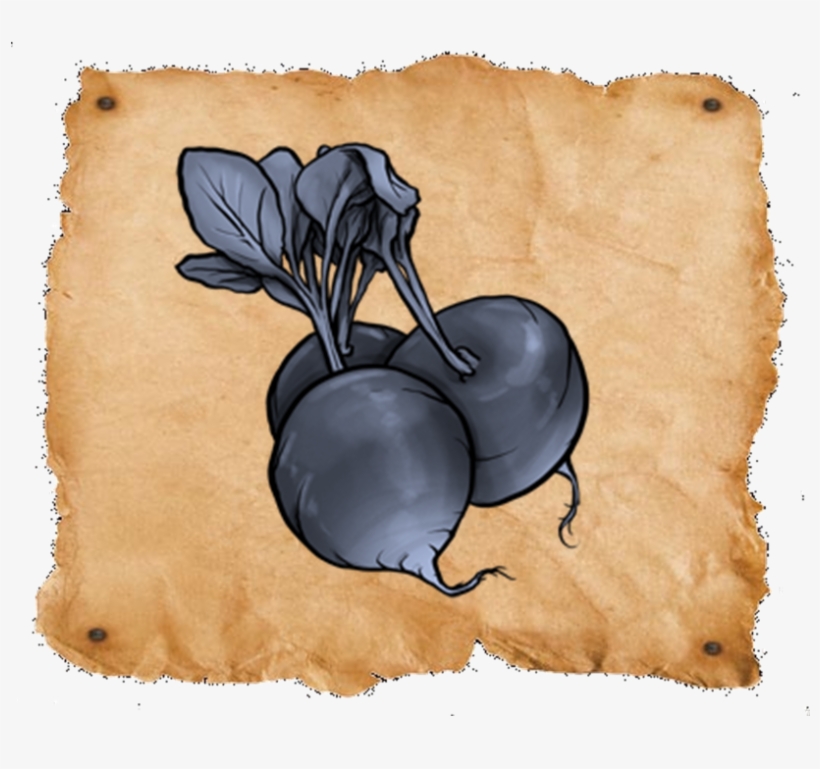 Fangberries And Moon Radishes - Radish PNG Image | Transparent PNG Free ...