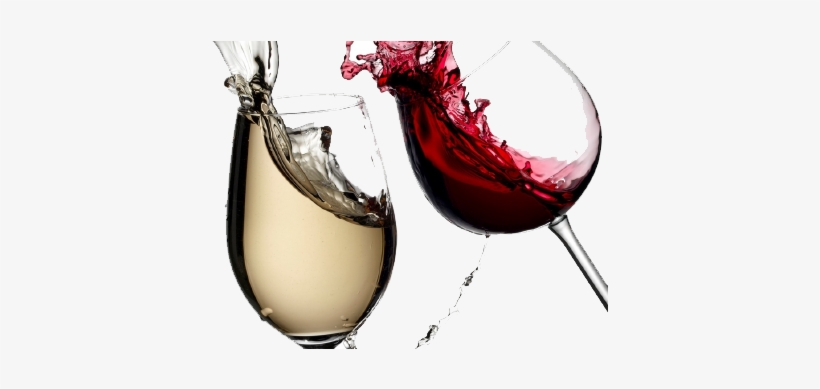 Bodega - Wine Tasting PNG Image | Transparent PNG Free Download on SeekPNG
