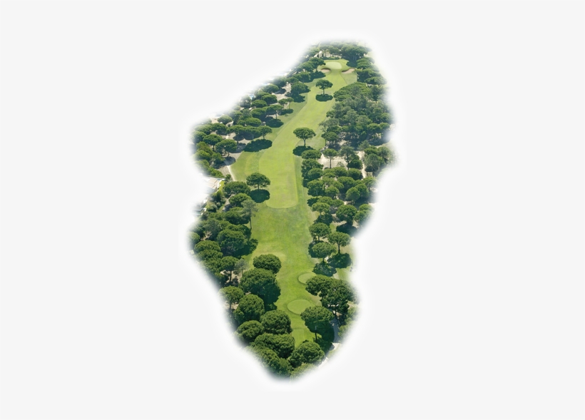 Pinhal Golf Course - Aerial View Tree Png PNG Image | Transparent PNG ...