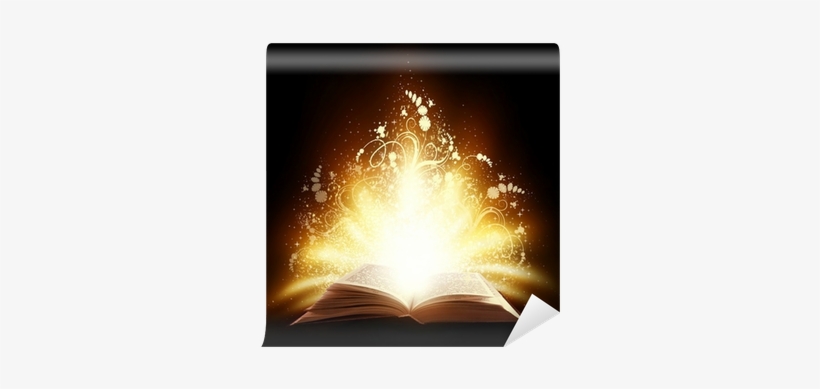 Book Week Theme Backrounds PNG Image | Transparent PNG Free Download on ...