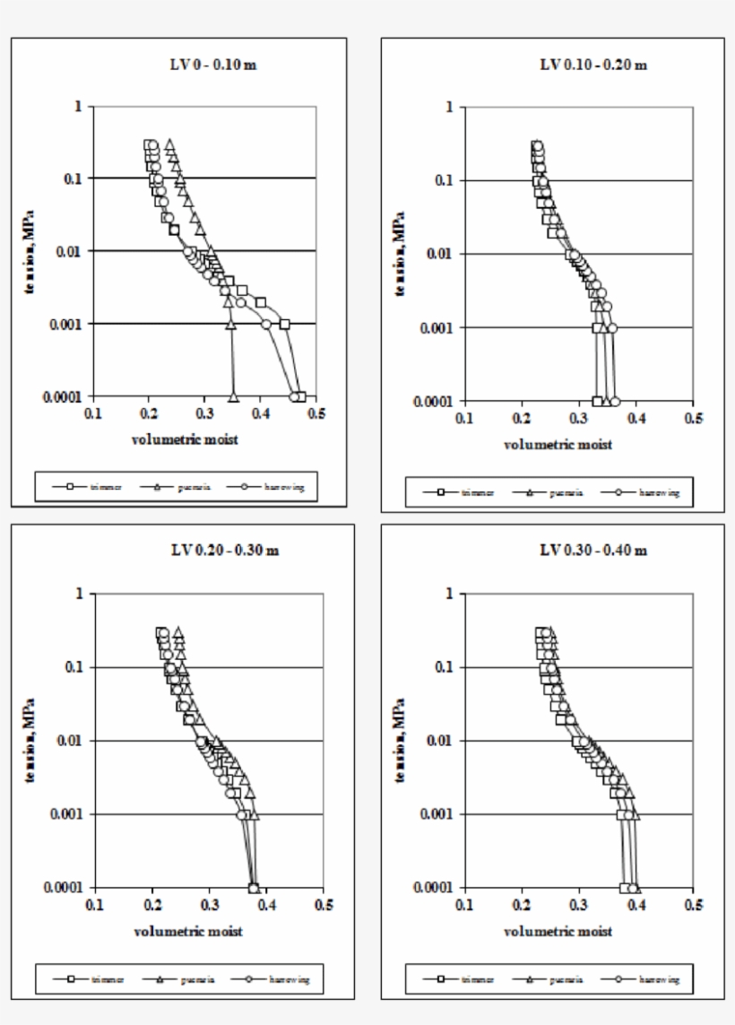 Easy Tree Drawing With Roots PNG Image | Transparent PNG Free Download ...