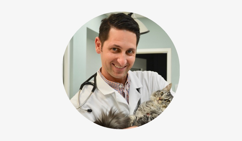 Jay Goldsmith - Park West Veterinary Associates PNG Image | Transparent ...