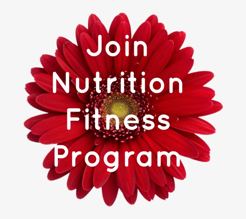 Web Page Fit Nut Button - Adobe Photoshop Lightroom 2 On Demand PNG ...