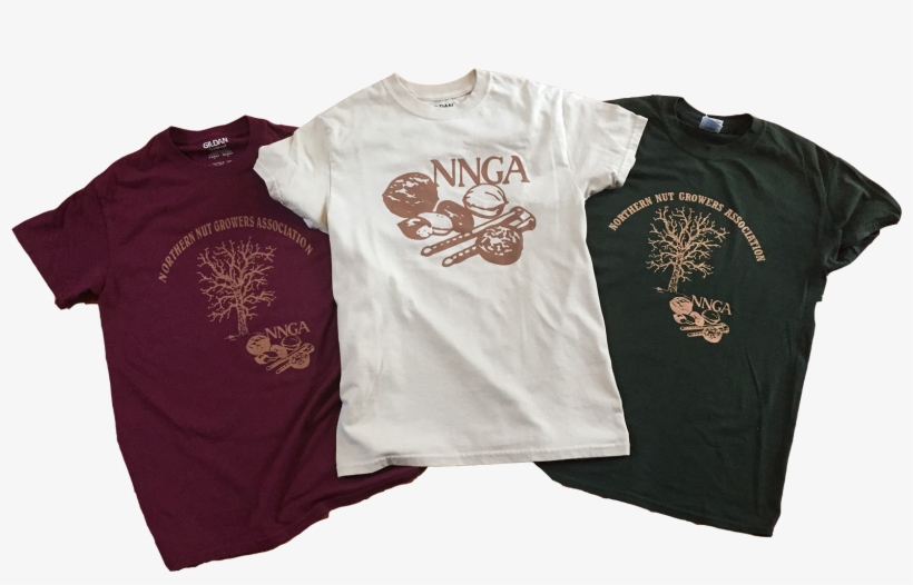 Download Slide Thumbnail - Thumbnail | Transparent PNG Download | SeekPNG