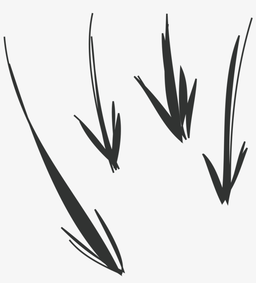 Handdrawn-arrow - Bird PNG Image | Transparent PNG Free Download on SeekPNG