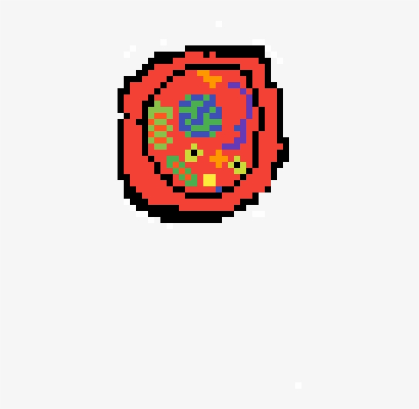 Animal Cell - Circle PNG Image | Transparent PNG Free Download on SeekPNG