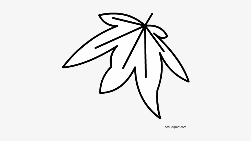 Download Black And White Fall Leaf Clip Art - White Fall Leaves Clip ...
