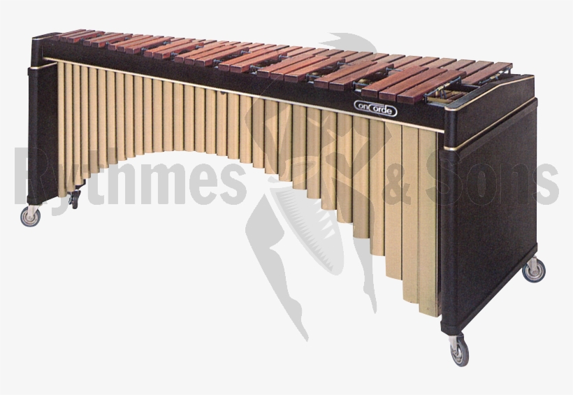 Download Concorde Marimba - Marimba | Transparent PNG Download | SeekPNG