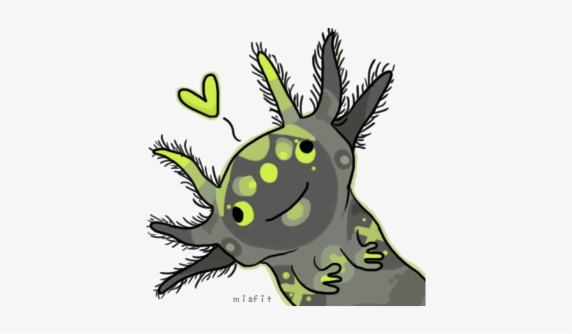 Axolotl Derp - Axolotl PNG Image | Transparent PNG Free Download on SeekPNG