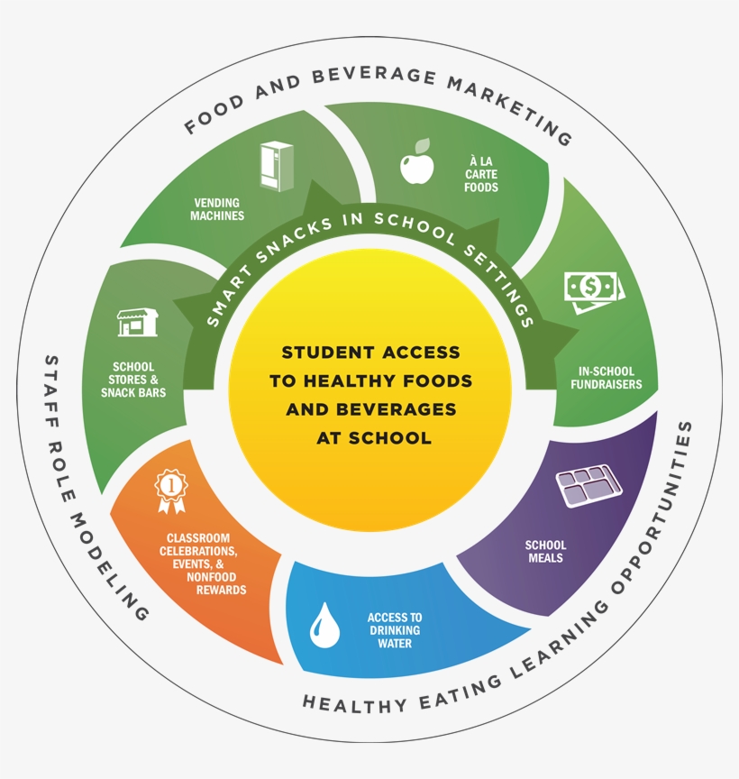 Download Png - High School Health Infographic | Transparent PNG ...