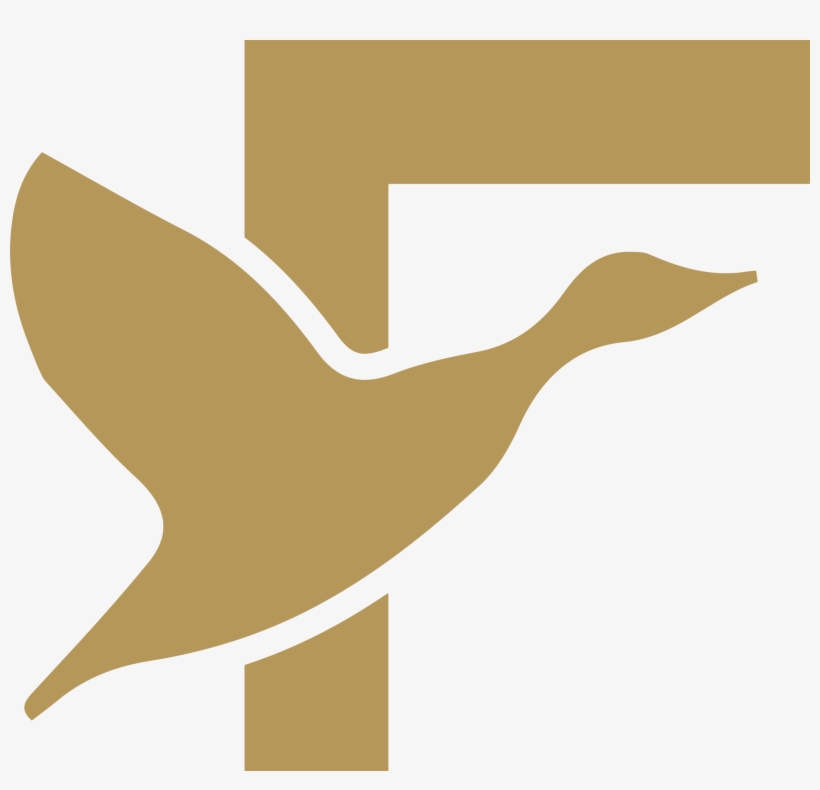 Flock F - Duck PNG Image | Transparent PNG Free Download on SeekPNG