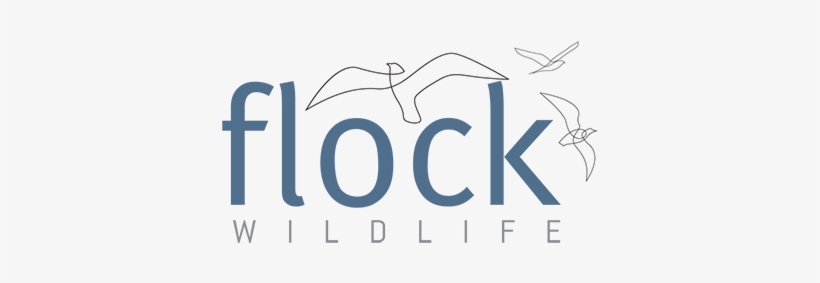 Flock Logo 450px - Electric Blue PNG Image | Transparent PNG Free ...