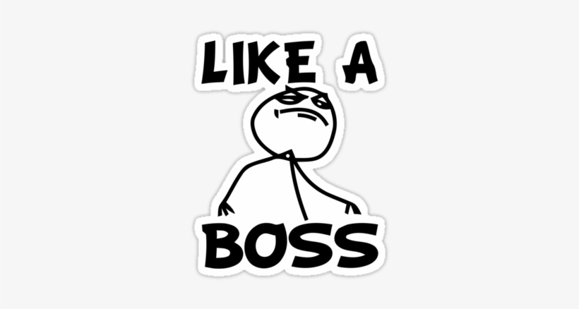 Download Like A Boss - Riding Roller Coaster Meme | Transparent PNG ...