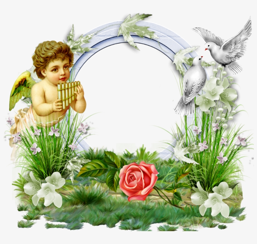 Frame With Angel PNG Image | Transparent PNG Free Download on SeekPNG