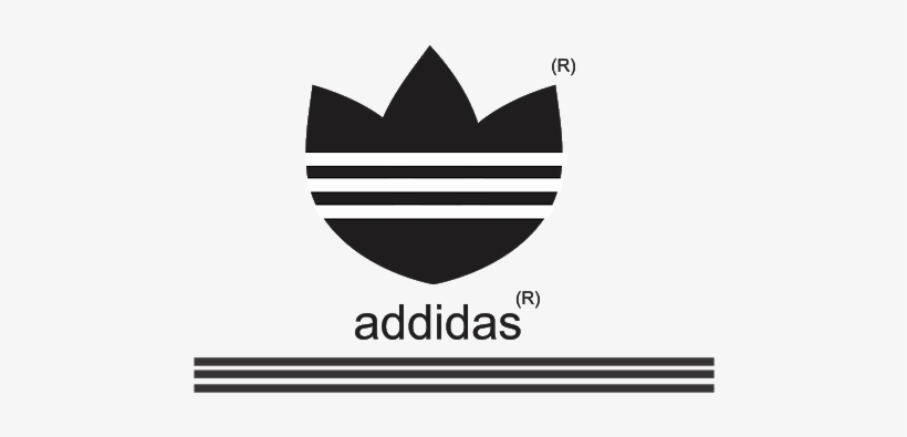 Photo - Photograph PNG Image | Transparent PNG Free Download on SeekPNG