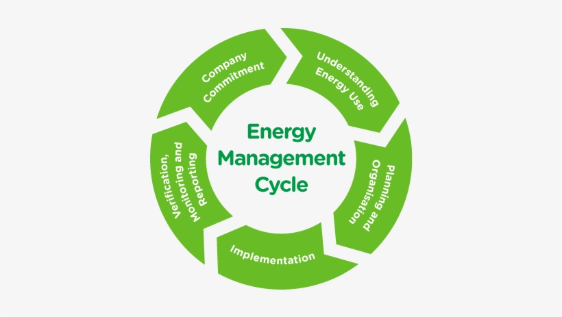 1) Functional Organization-the Unit Is Directly Located - Rpm Tony ...