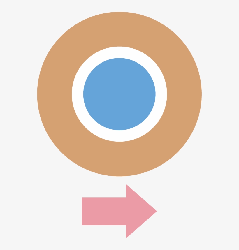 Eye Forward Inc - Circle PNG Image | Transparent PNG Free Download on ...