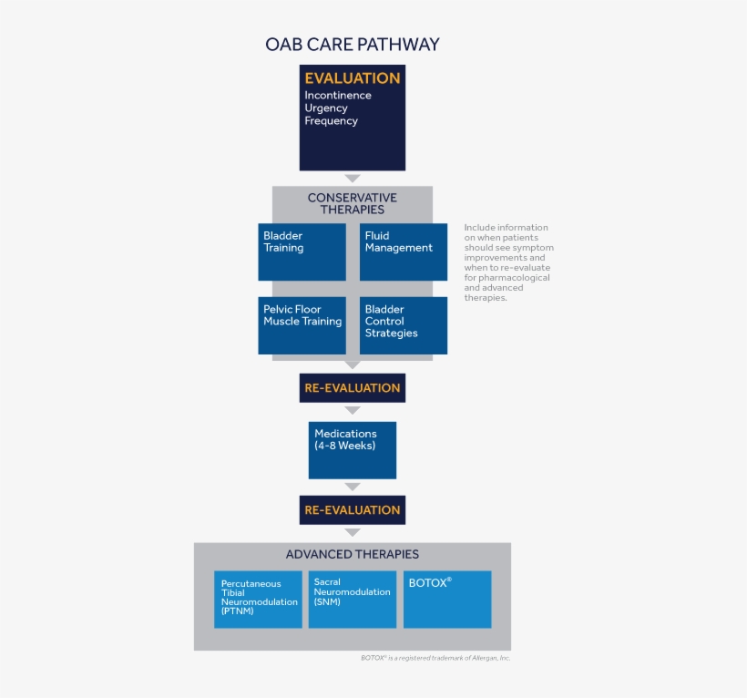 Download Flowchart Illustrating Care Pathway And Treatment Options ...