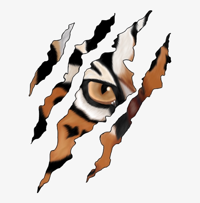 Tiger Scratch Png Download - Tiger Scratch PNG Image | Transparent PNG ...