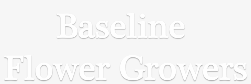 Baseline Flower Growers - Calligraphy PNG Image | Transparent PNG Free ...
