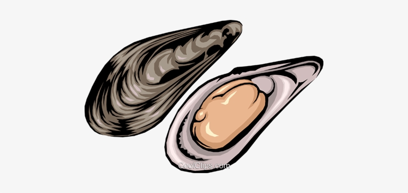 Mussels Royalty Free Vector Clip Art Illustration - Mussels Clipart PNG ...