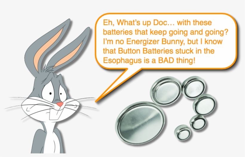 Antelope Jackrabbit PNG Image | Transparent PNG Free Download on SeekPNG