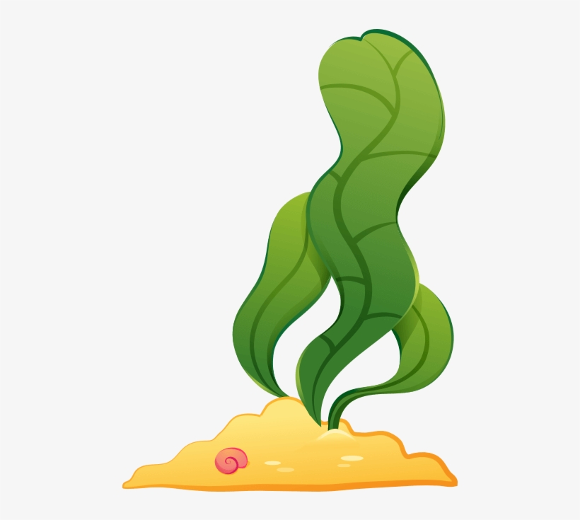 Seaweed Sticker PNG Image | Transparent PNG Free Download on SeekPNG