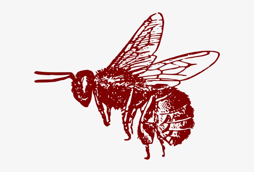 Small - Bee Clip Art PNG Image | Transparent PNG Free Download on SeekPNG