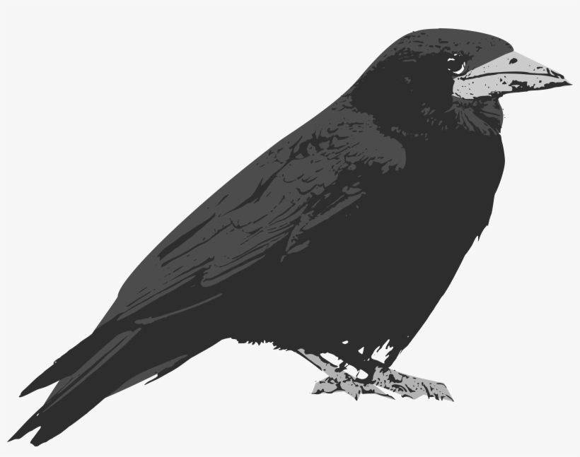Raven Clipart Cartoon - Raven Bird Cartoon PNG Image | Transparent PNG ...