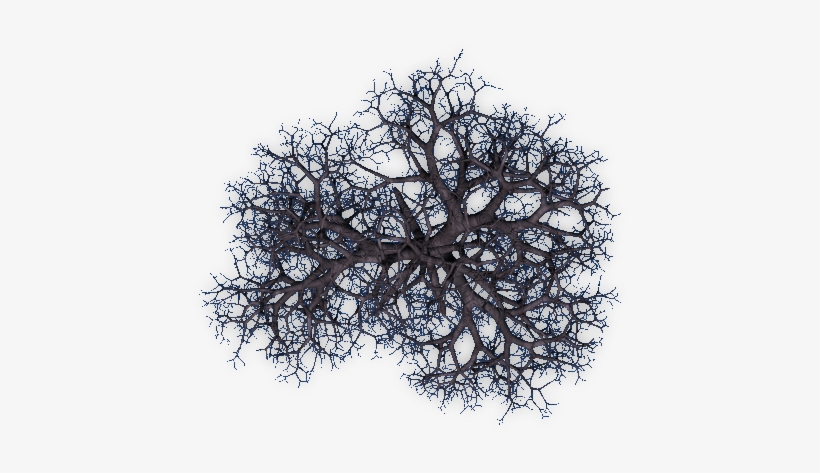 My Sites - - Dundjinni Dead Tree PNG Image | Transparent PNG Free ...