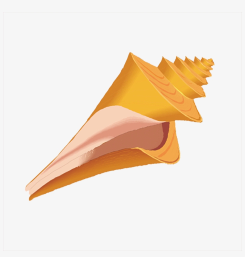 Seashell Clipart At Getdrawings - Orange Seashell Clipart PNG Image ...